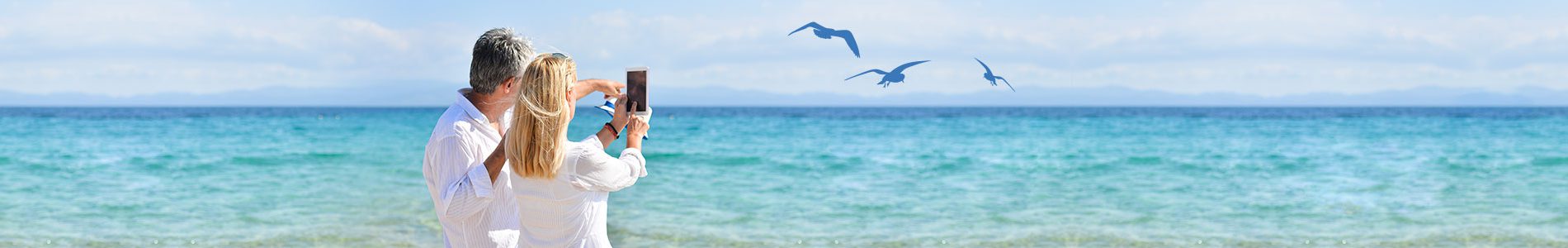 Florida Vacation Rentals - Best Places to Stay | Royal Shell