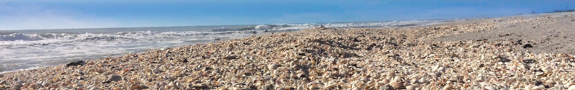 Sanibel Island Vacation Rentals | Royal Shell