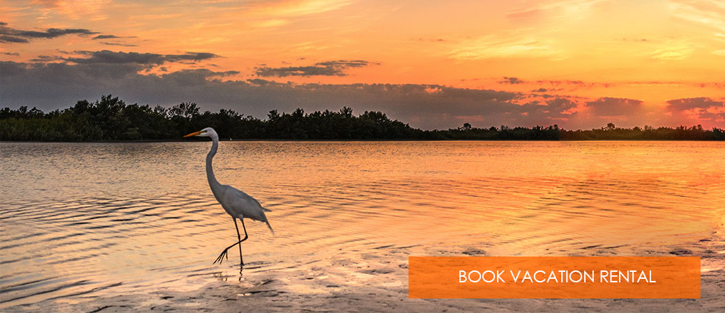 Florida Vacation Rentals - Best Places to Stay | Royal Shell