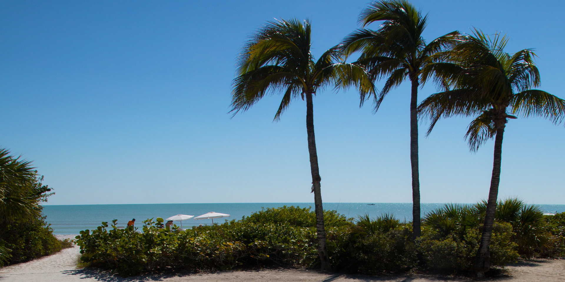 Vacation Rentals Specials | Royal Shell