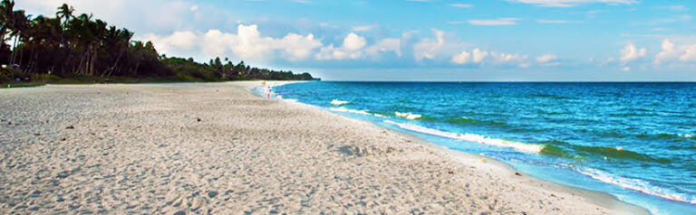 Which Southwest Florida Beaches are Open? | Royal Shell
