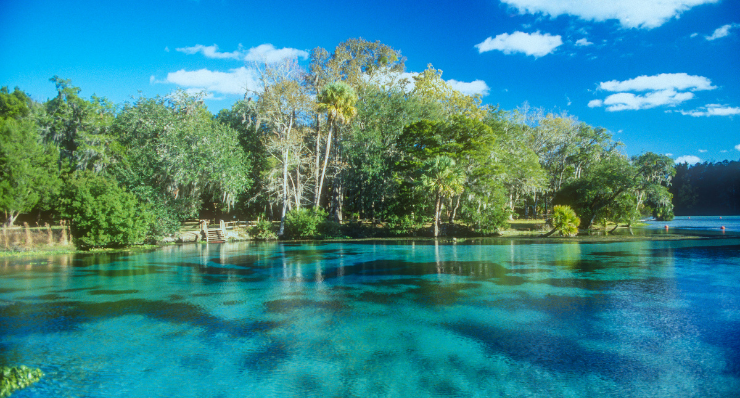 Cool Off at the Best Natural Springs in Florida